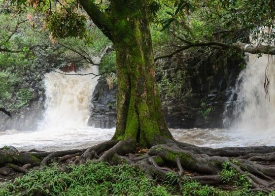 Hike Maui - Morning Waterfall Walk - Hawaii Discount
